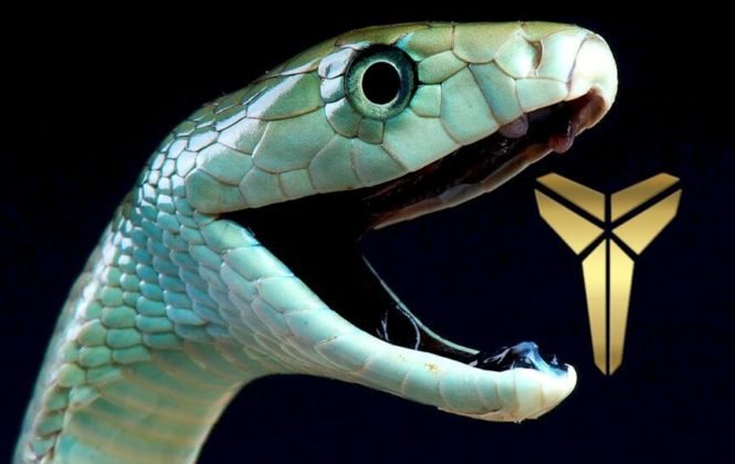 Kobe Bryant Logo And the History Behind His Legacy | LogoMyWay