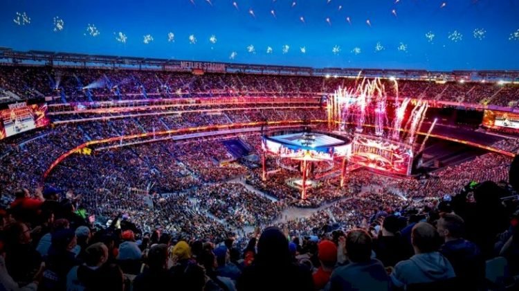 WWE logo and some history behind the franchise | LogoMyWay